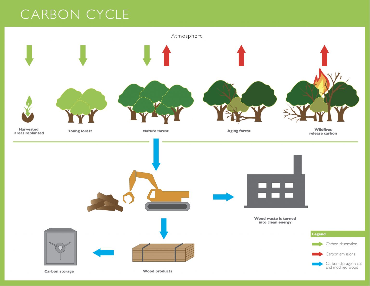 Environment - Lauzon